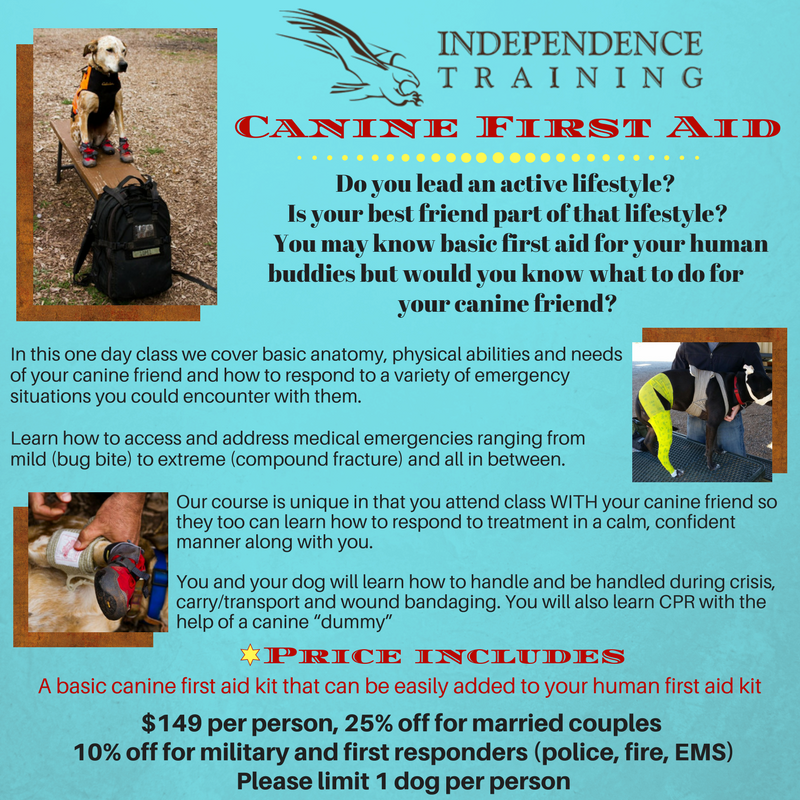 Canine First Aid Course - K9 Guidance to Inclusion!